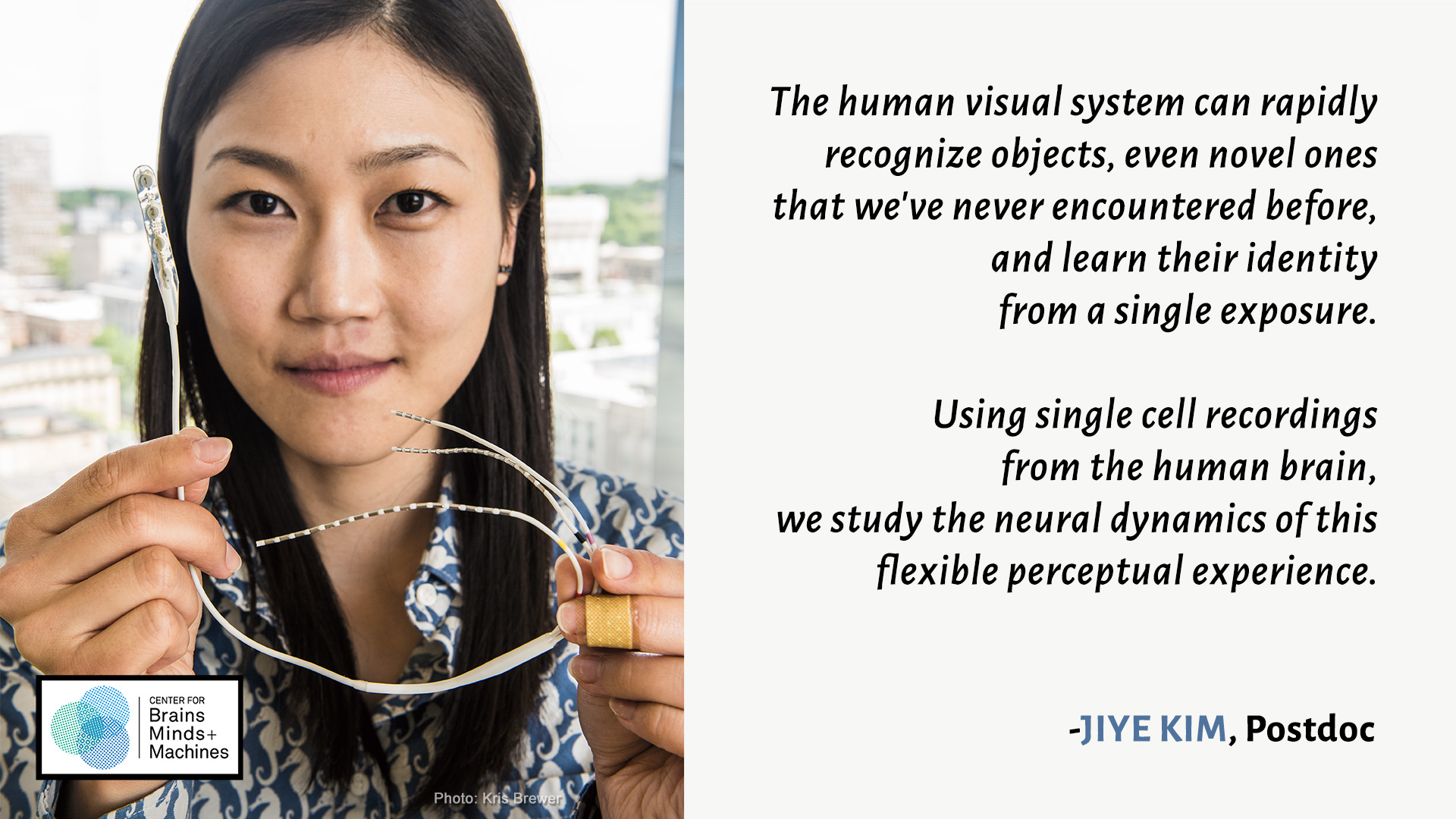 CBMM Spotlights | The Center for Brains, Minds & Machines